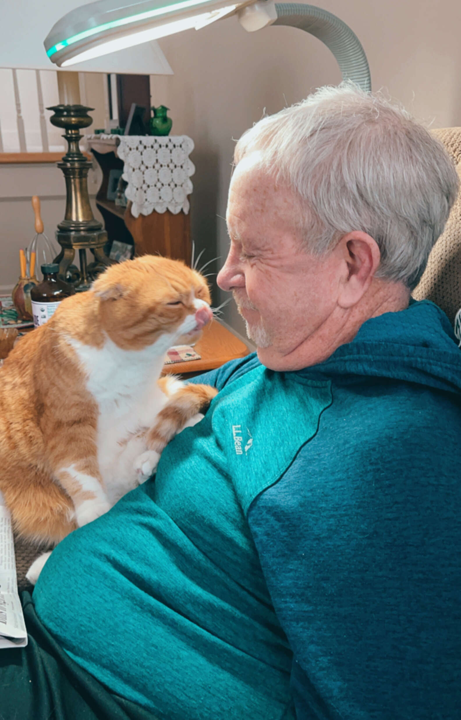 Cat Has Refused To Leave His Grandpa s Side Since The Moment He Cat Has Refused To Leave His Grandpa s Side Since The Moment He
